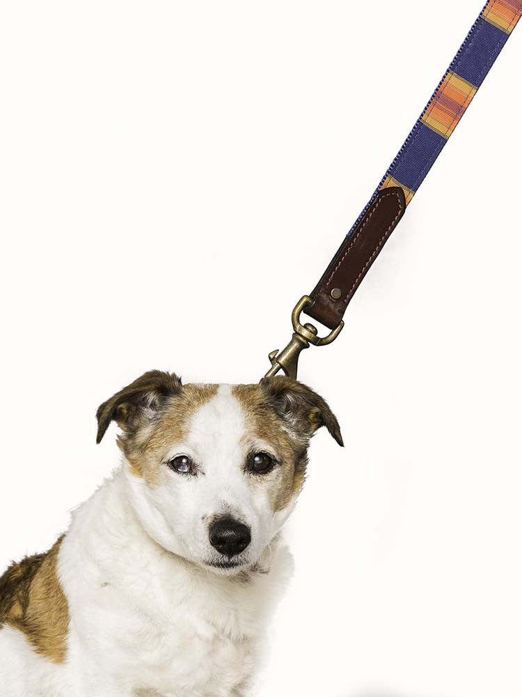 Pendleton Dog – MMW at Revolver | On land, at sea & everything in between